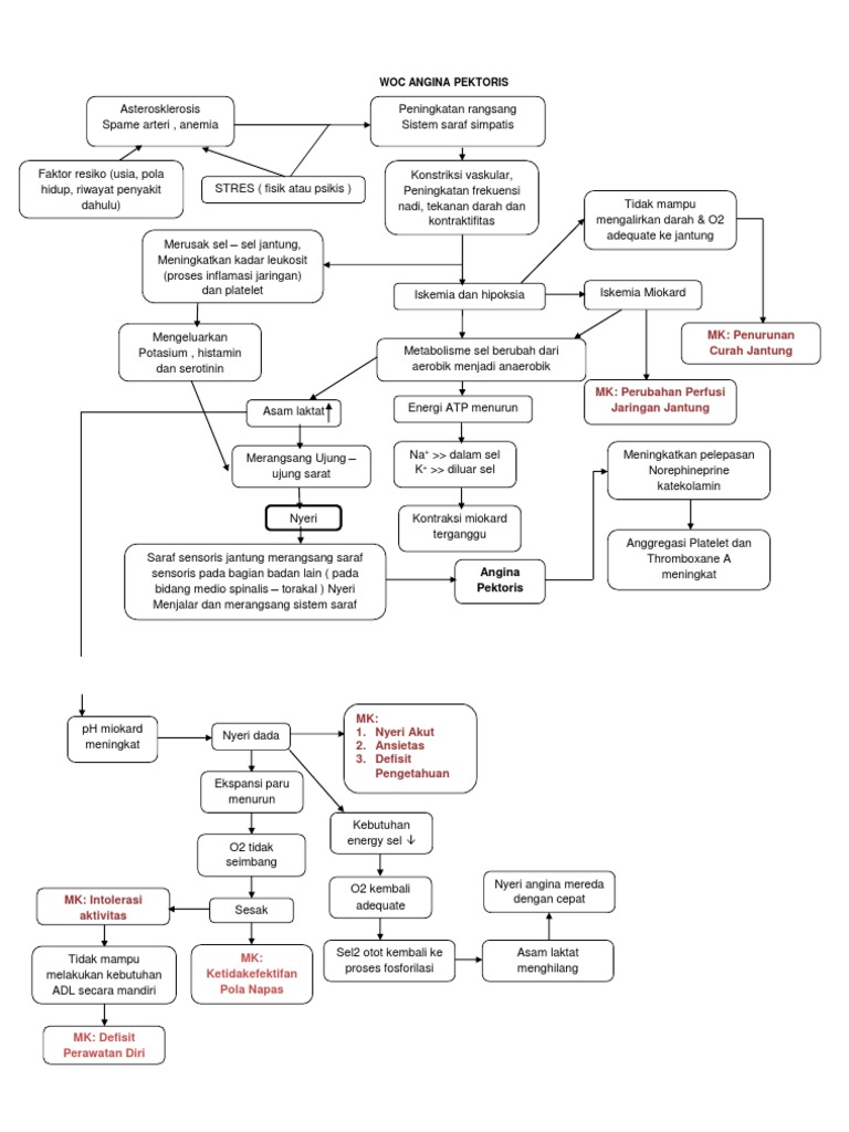 Woc Angina Pektoris