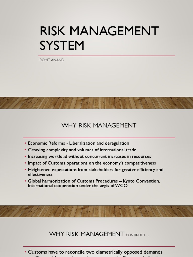 Risk Management System | PDF | Risk Management | Dumping (Pricing Policy)