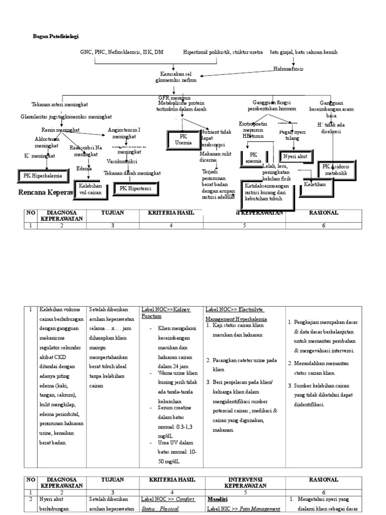 Patofisiologi Syok | PDF