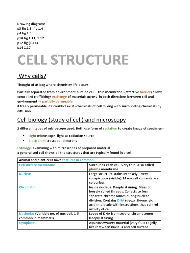 Understanding Cell Structure and Function Through Microscopy | PDF ...