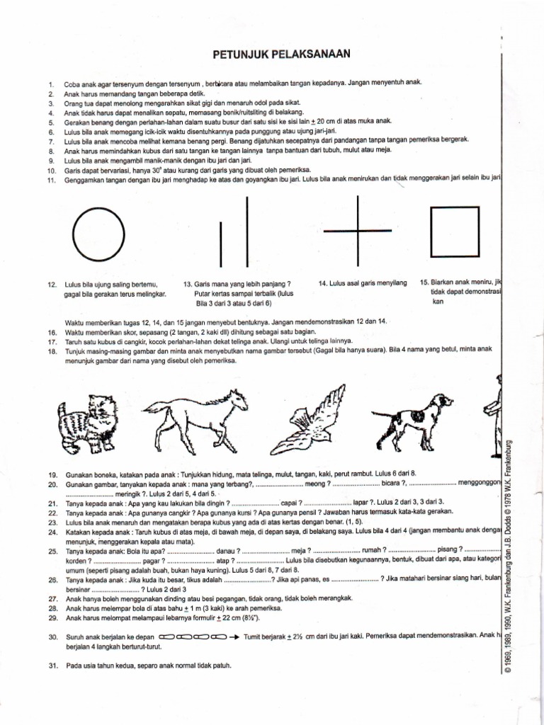 Lembar Denver II | PDF