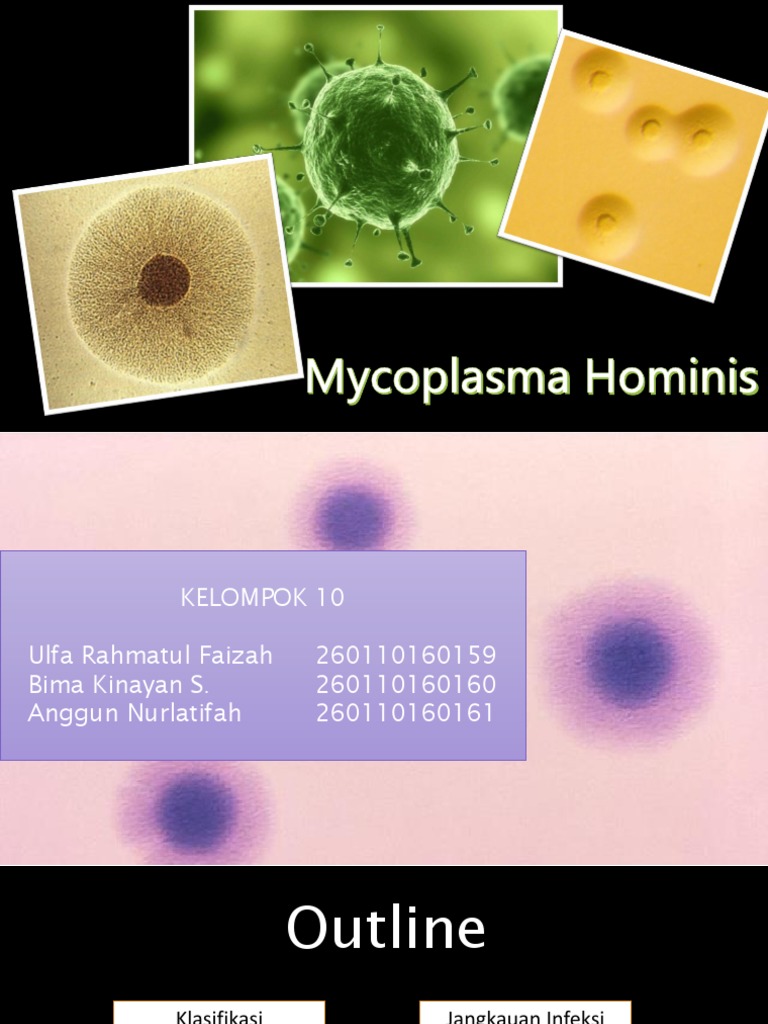 Mycoplasma Hominis | PDF