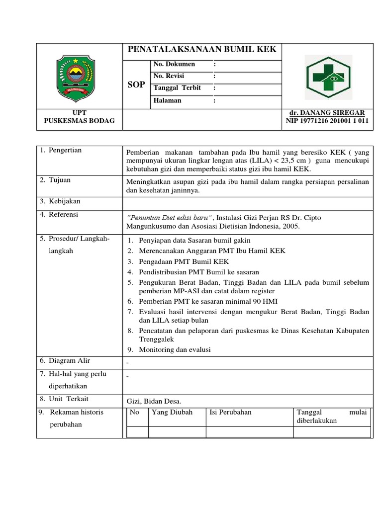 Penatalaksanaan Bumil Kek | PDF