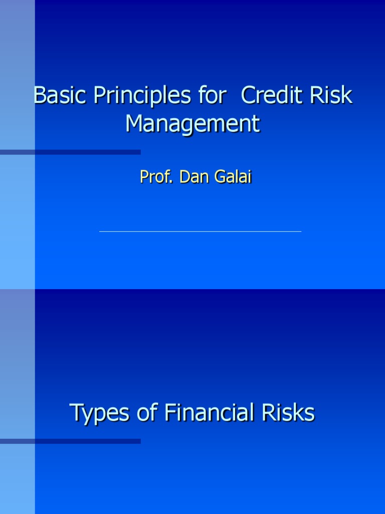 Basic Principles For Credit Risk Management: Prof. Dan Galai | PDF ...