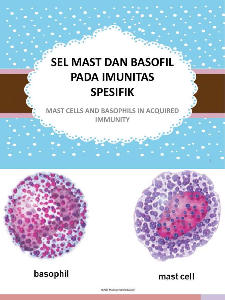 Sel Mast Dan Basofil Pada Imunitas Spesifik | PDF