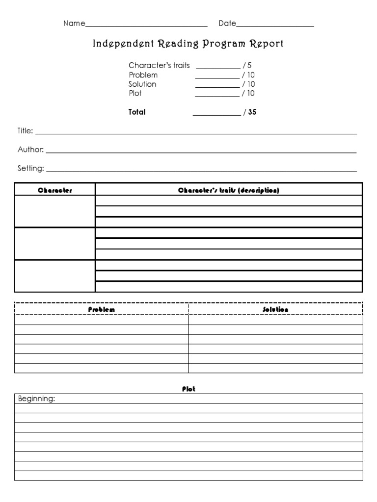 Irp Report Form | PDF