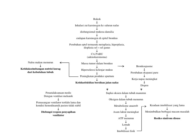 Pathway Icu | PDF