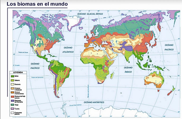 Biomas en El Mundo Actual | PDF