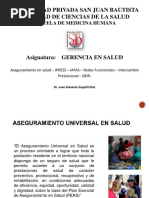 Organización de IPRESS | PDF | Hospital | Sistema de salud