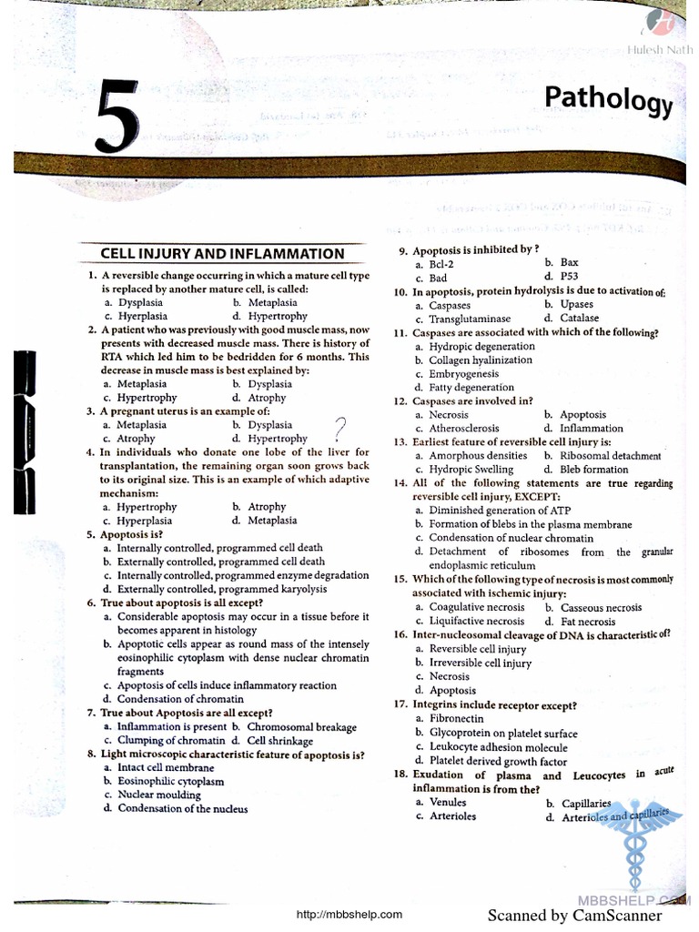 FMGE Pathology Question Bank PDF | PDF