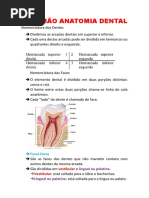 Morfologia dos Dentes Permanentes | PDF | Dente humano | Áreas da ...