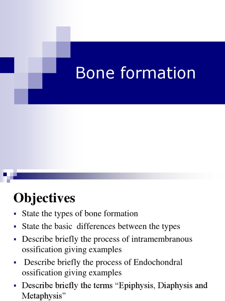Bone Formation - Ossification 2 PDF | PDF | Bone | Osteoblast