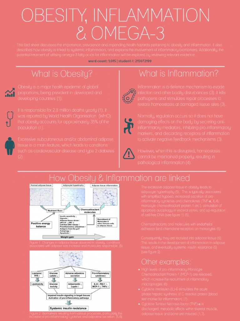 Obesity, Inflammation and Omega-3 Fact Sheet | PDF