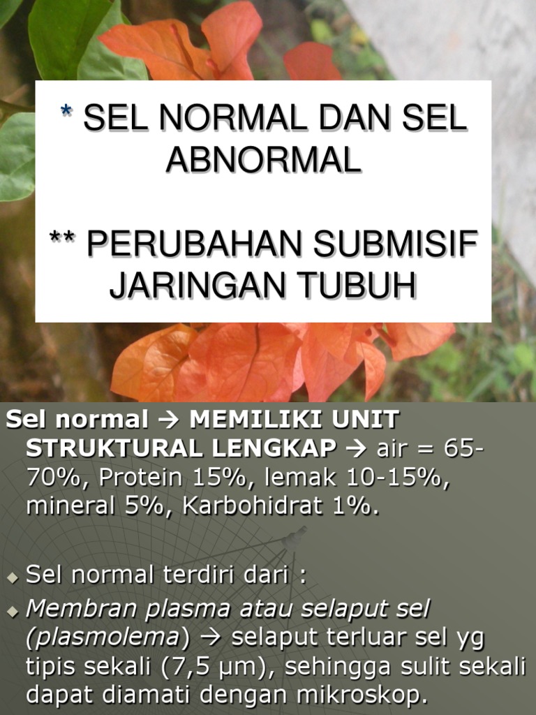Sel Normal Dan Sel Abnormal | PDF