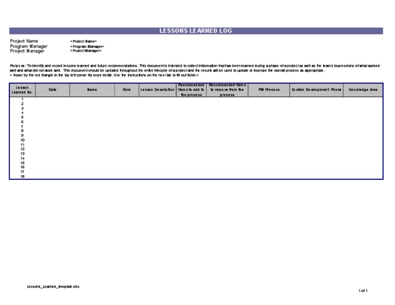 Lessons Learned Guide | PDF