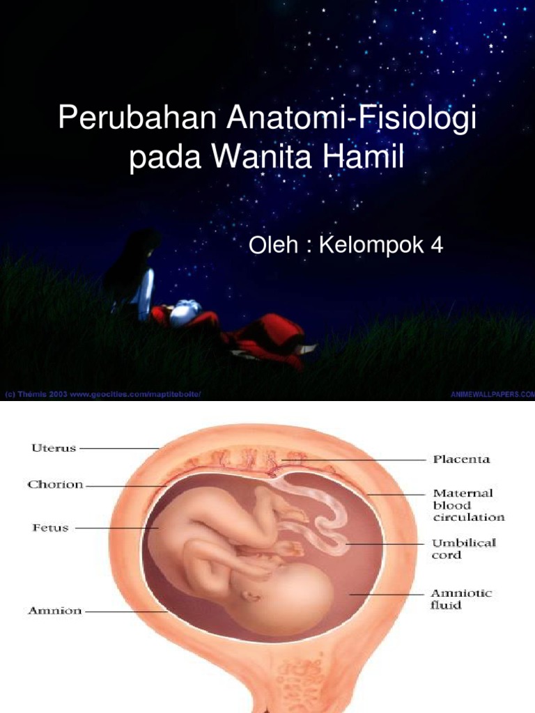 Perubahan Anatomi-Fisiologi Pada Wanita Hamil | PDF