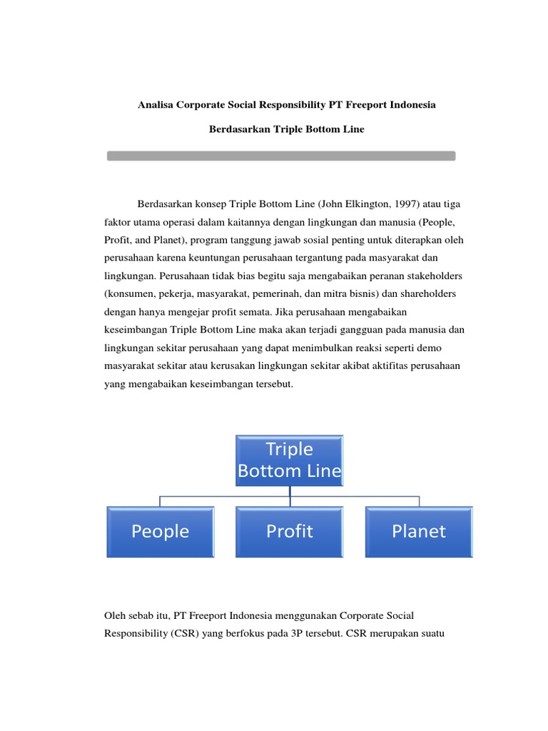 Triple Bottom Line | PDF