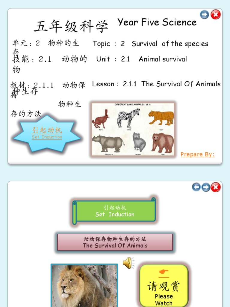 The Survival of Animals | PDF