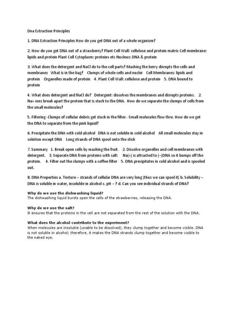 Dna Extraction Principles | PDF