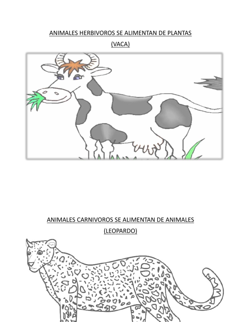 Alimentación de Animales Herbívoros | PDF | Viajes y turismo | Tecnología