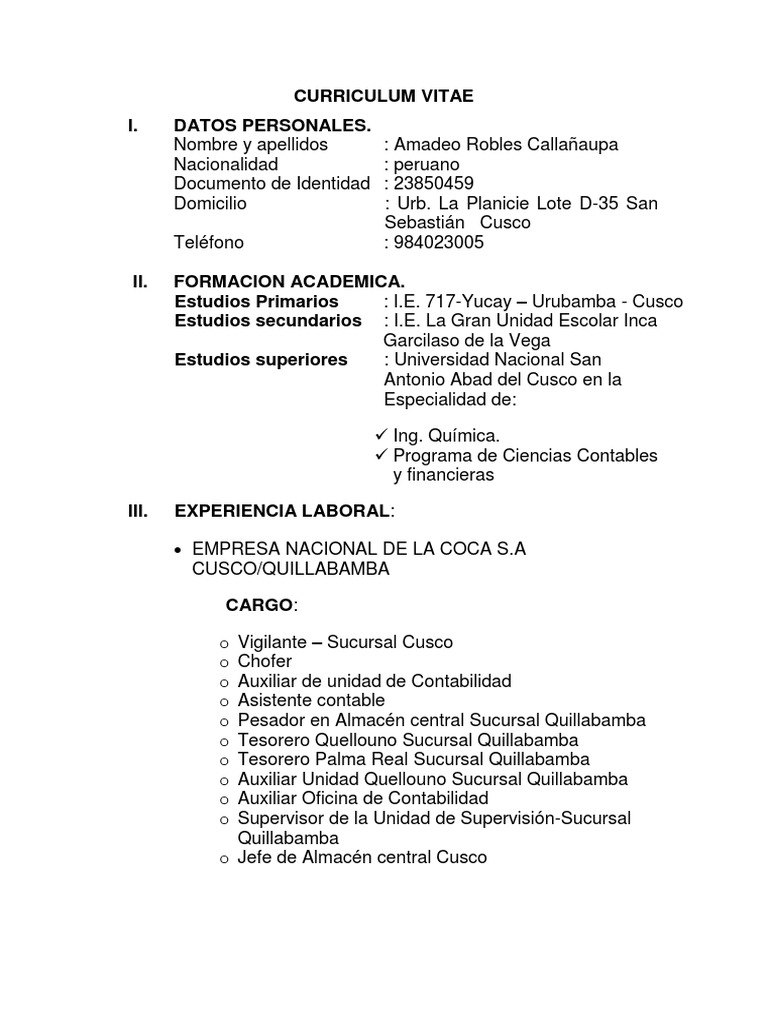 Curriculum Vitae Amadeo | PDF | Educación avanzada | Business