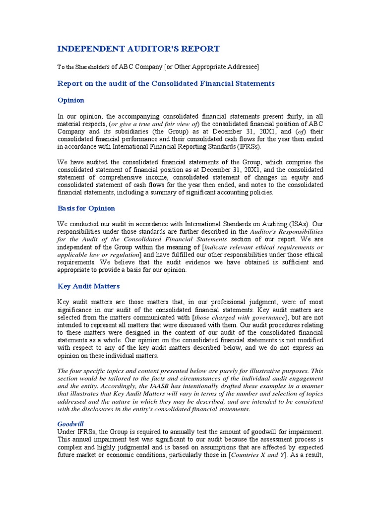Example New Auditors Report | Download Free PDF | Financial Audit ...