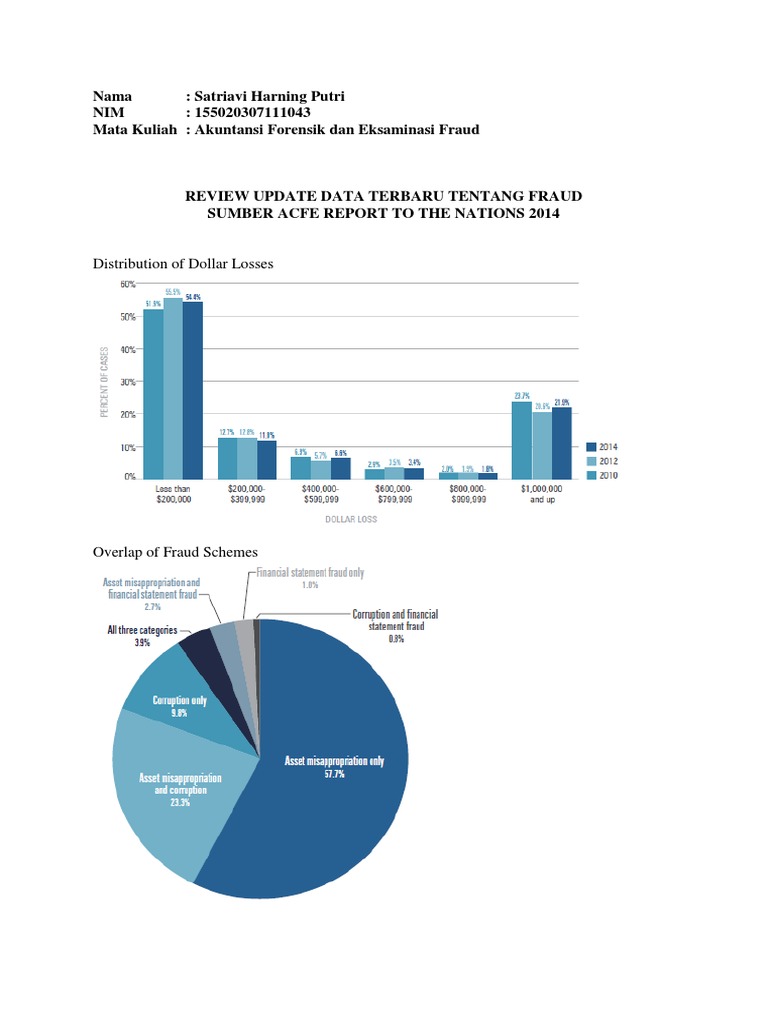 Review Update Data Fraud ACFE | PDF