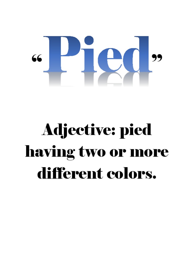 Adjective: Pied Having Two or More Different Colors | PDF