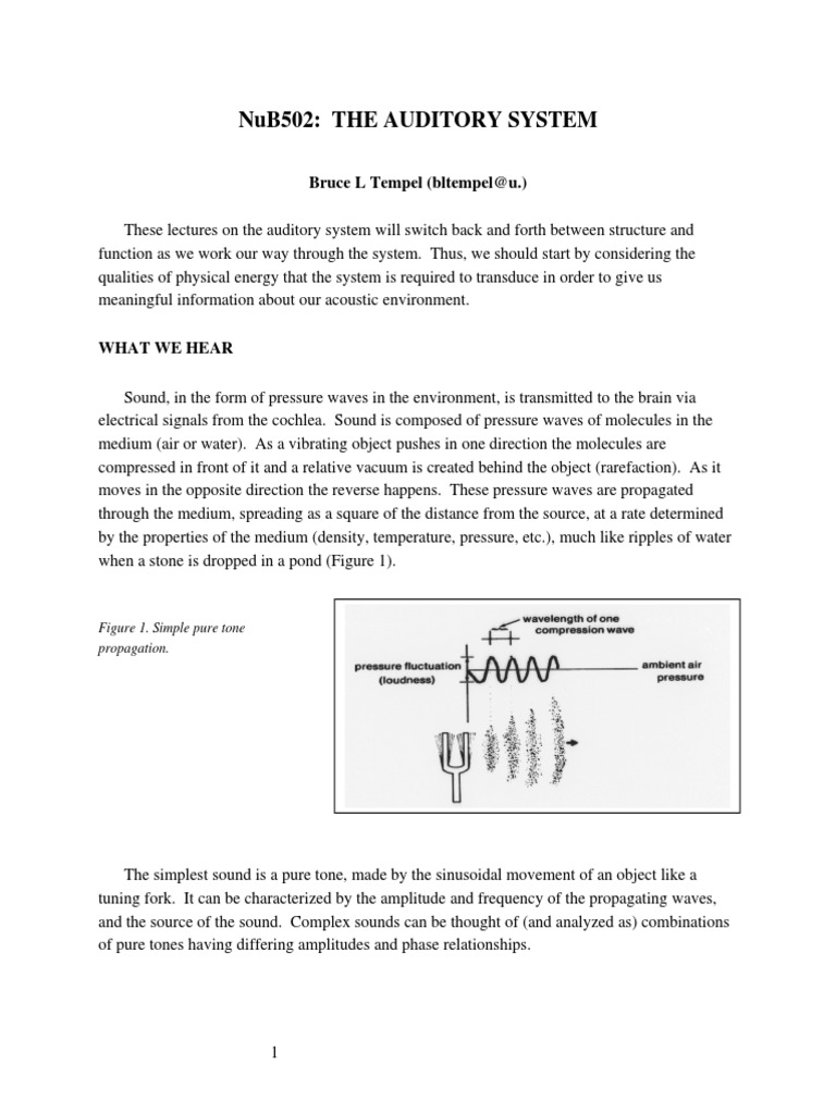 Nub502: The Auditory System: Figure 1. Simple Pure Tone Propagation ...