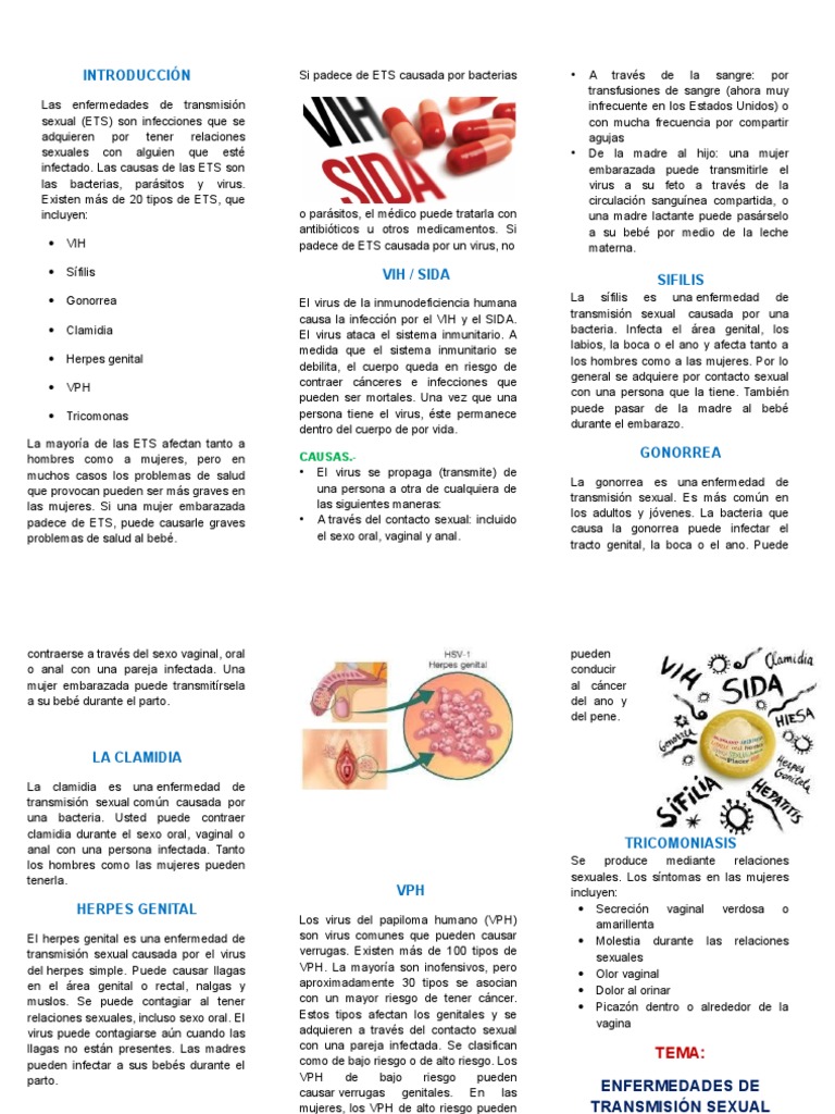 Triptico Enfermedades de Transmision Sexual | PDF | Infección transmitida sexualmente ...