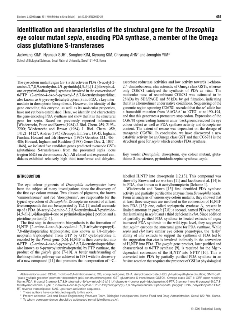 Sepia | PDF | Primer (Molecular Biology) | Gene