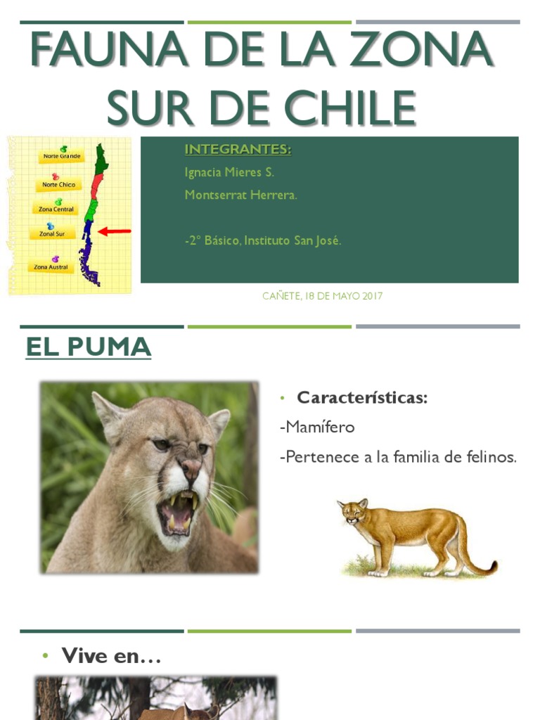 Fauna Del Sur de Chile | PDF