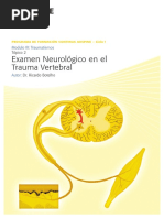 Tracto Rubroespinal | PDF | Cerebro | Neuroanatomía