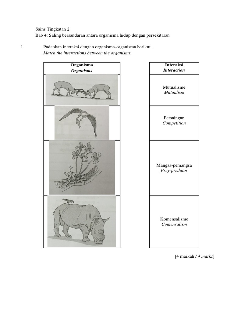 Sains Tingkatan 2 Bab 4 Pdf