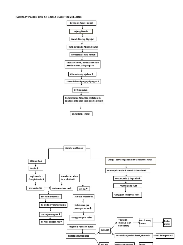 Pathway Ckd Dm