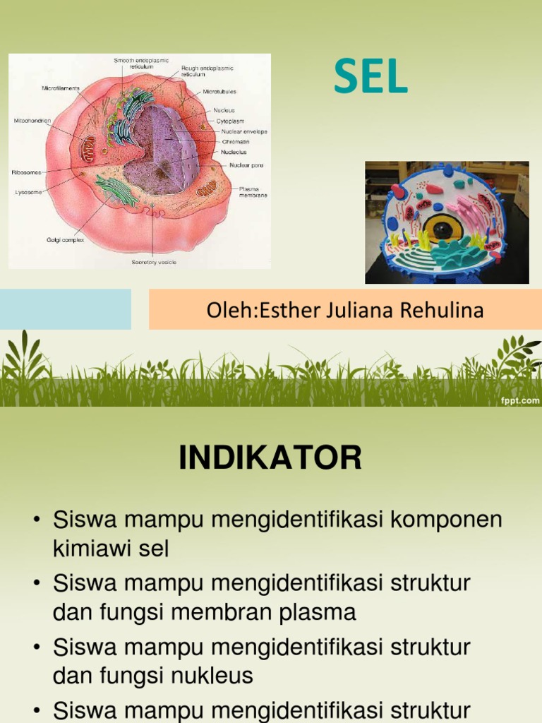 Ppt 1. Komponen Kimia Sel