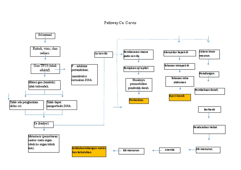 Patofisiologi Kanker Serviks | PDF