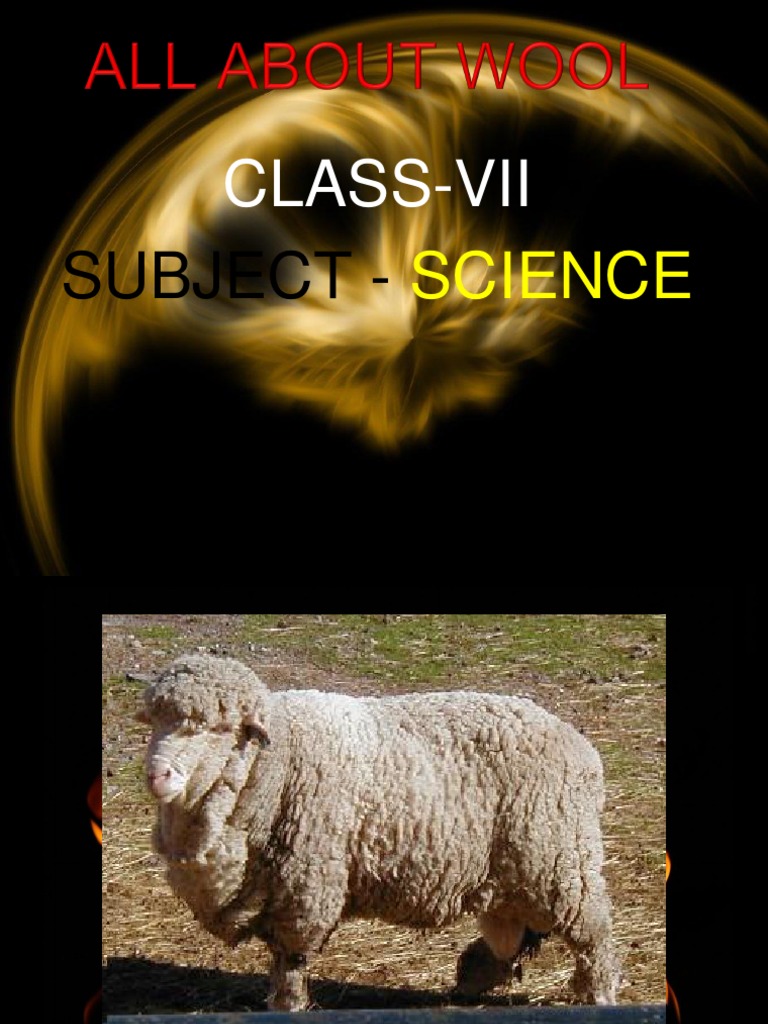 All About Wool | PDF | Wool | Sheep