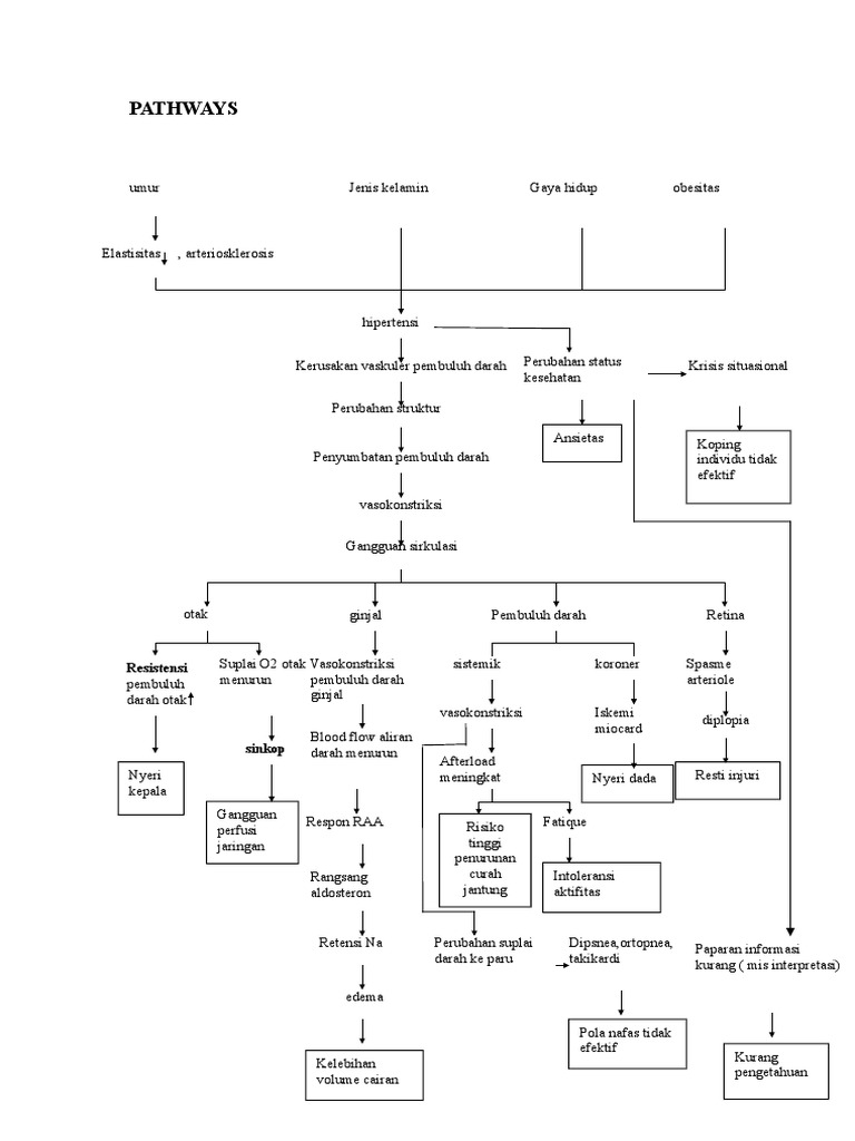 PATHWAYS Hipertensi | PDF