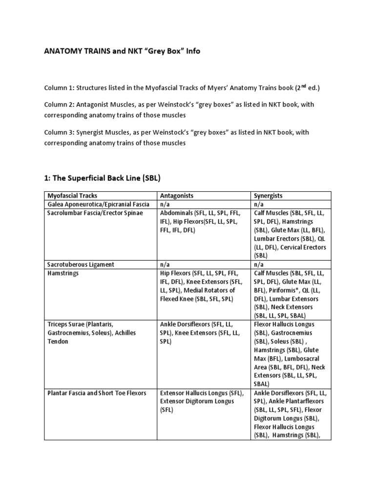 Anatomy Trains and NKT | PDF