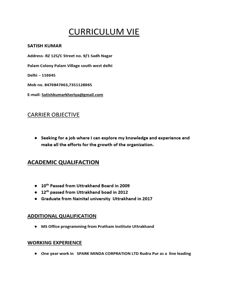 Curriculum Vie: Carrier Objective | PDF