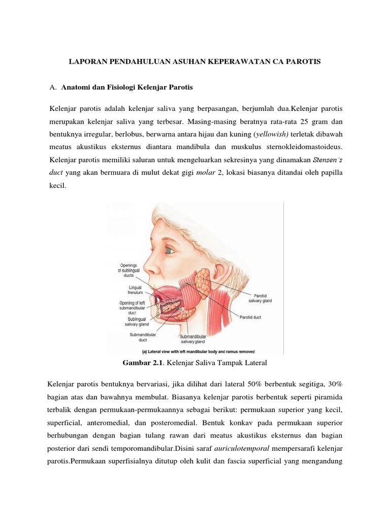 TINJAUAN PUSTAKA. CA Parotis Edit | PDF