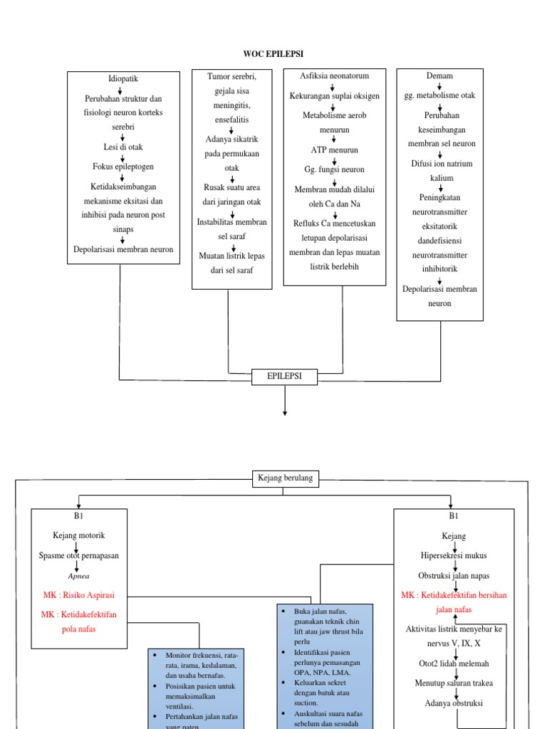 WOC EPILEPSI + Penanganannya | PDF