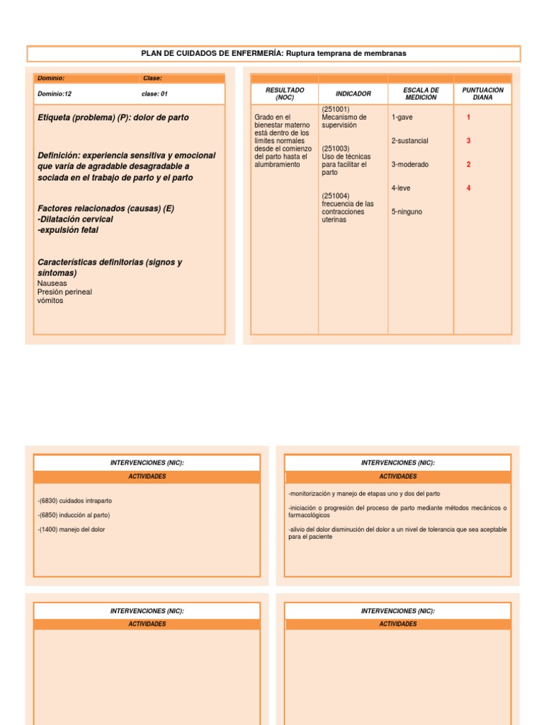 Formato Place | Parto | El embarazo