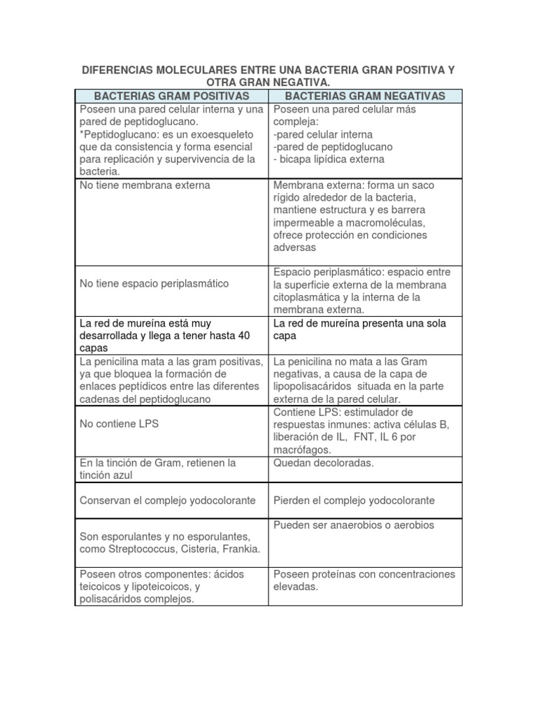 Diferencias Gram+ y Gram | PDF