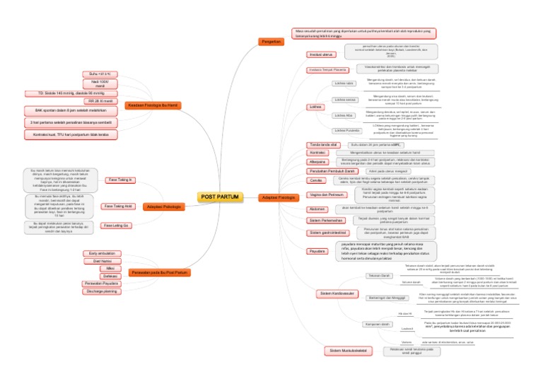 Post Partum Minmap | PDF