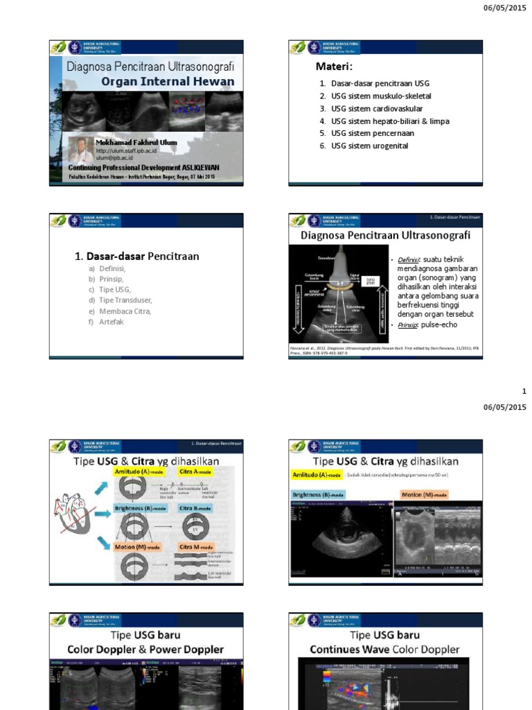 Diagnosa USG Organ Hewan | PDF