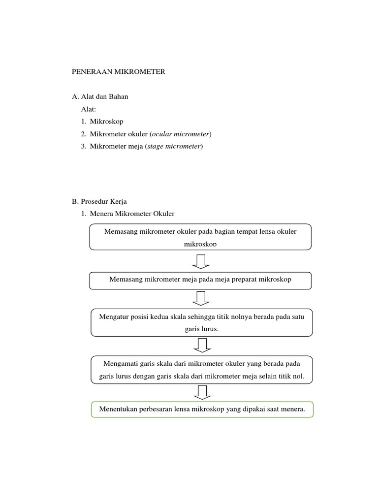 Mengukur Ukuran Objek Mikroskopik Menggunakan Mikrometer Okuler dan ...