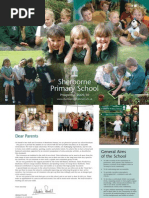Primary School Prospectus Sample | PDF | Special Education | Schools