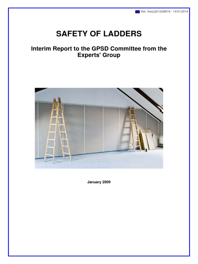 Safety of Ladders | PDF | Safety | Standardization